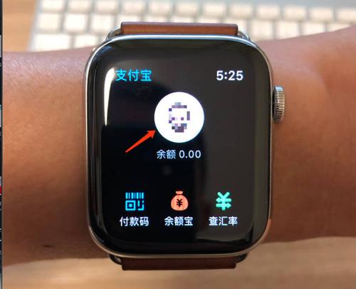 支付宝手表离线支付图标