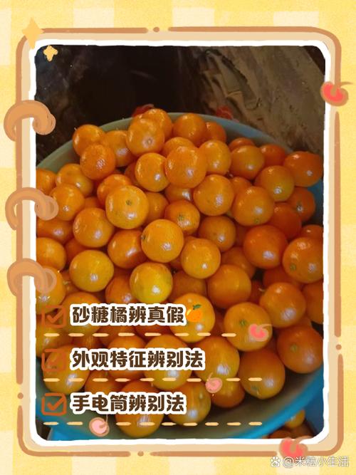 橘皮与橘子糖的区别图标
