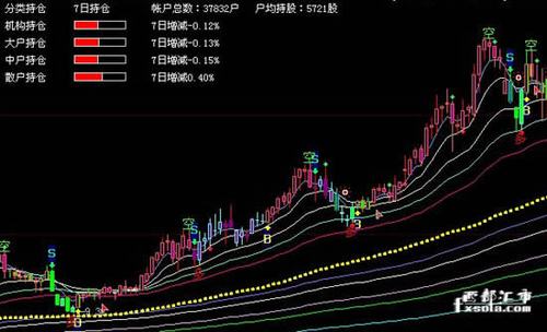 赢在龙头决策版手机版图标