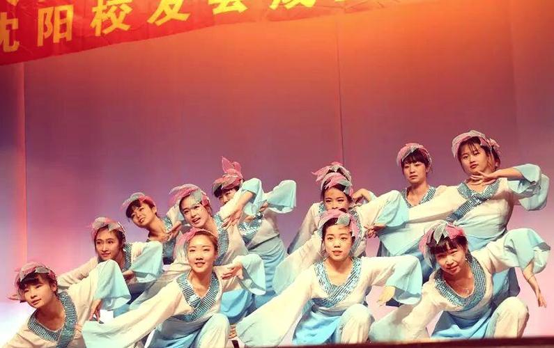 清华大学沈阳校友演出录像截图