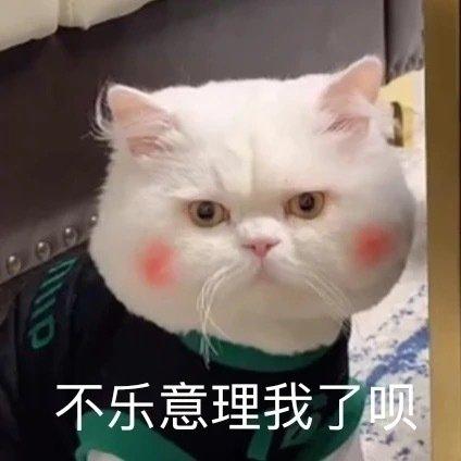 不理我表情包的背景故事图标