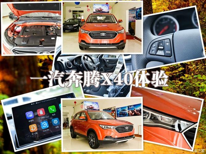 奔腾x40 dlife 破解图标