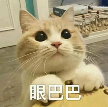 眼巴巴望着的表情包
