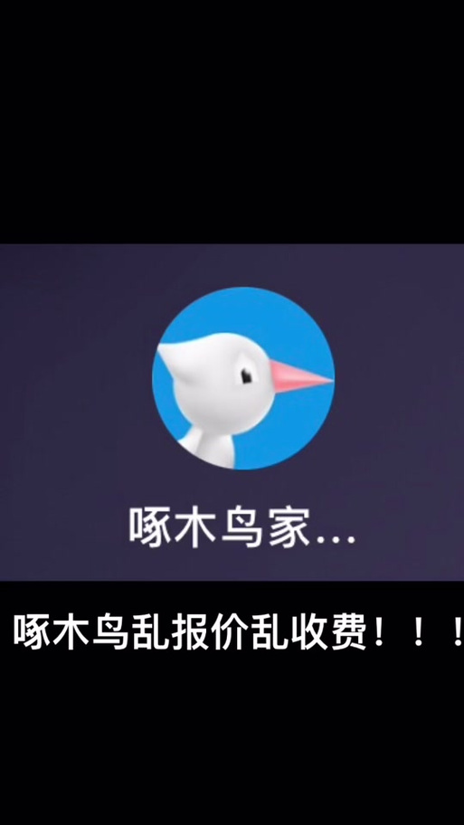 小啄木鸟赚钱app图标