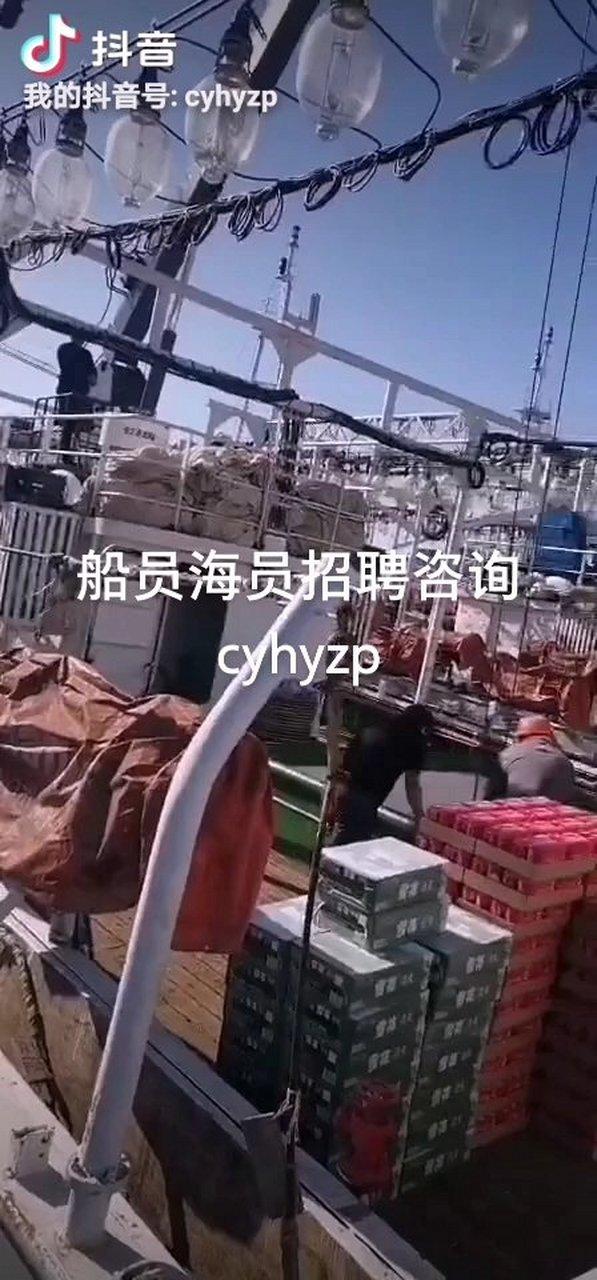 船员招聘网 海员招聘图标