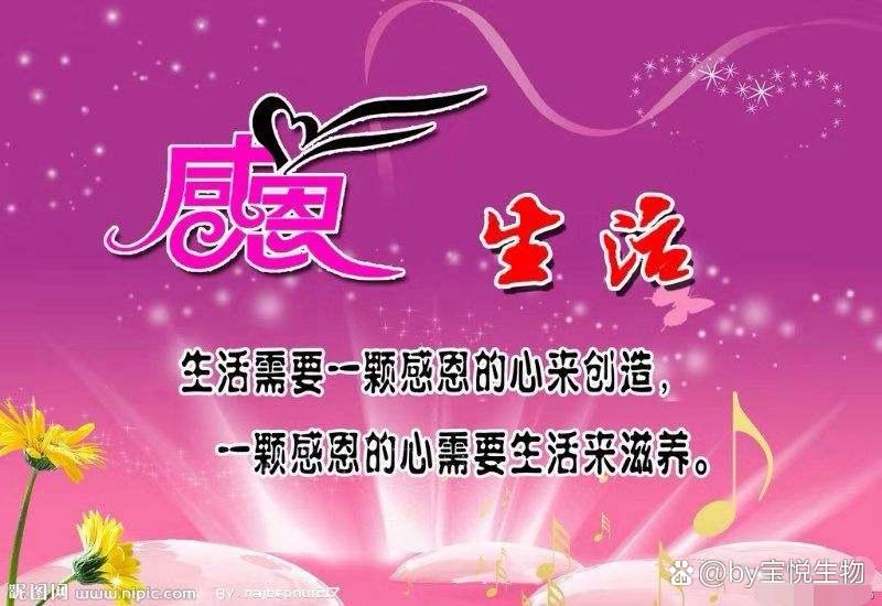 感恩时代最经典十句话图标