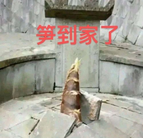 夺笋图片表情包图标