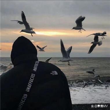 十大最帅头像图标