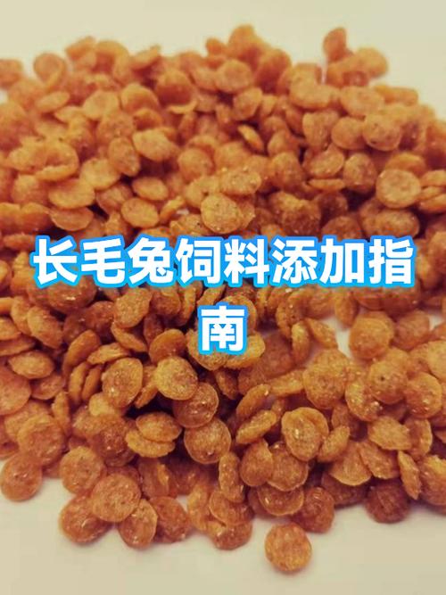 兔子最好的三个饲料截图