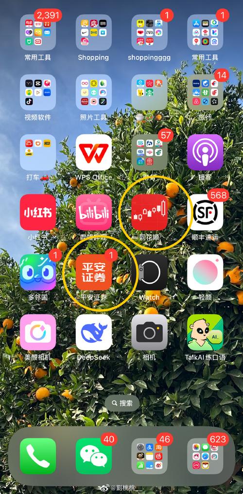 光速搜索卸载了还有壁纸图标
