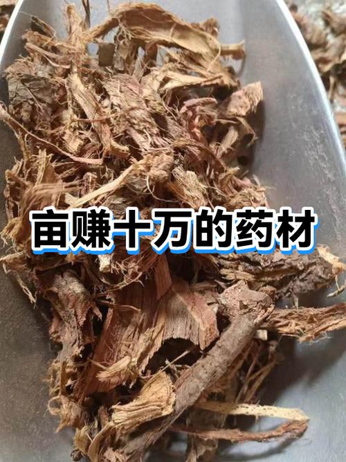 种药材一亩地利润有多少图标