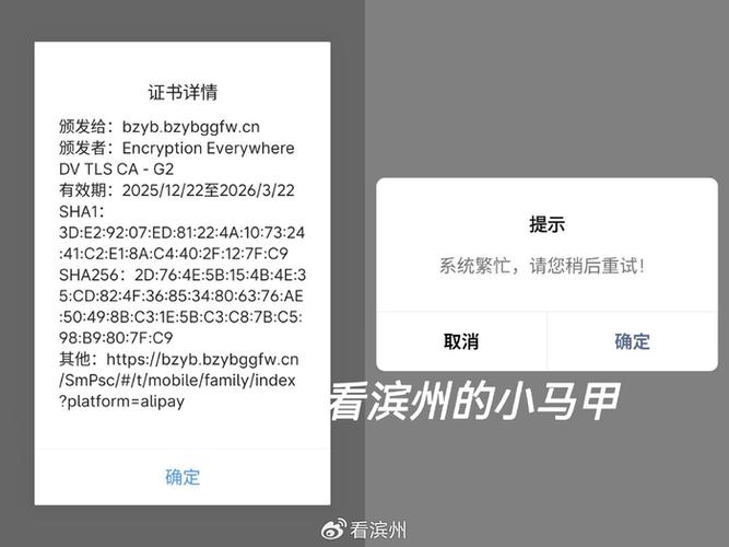 医保打不开了是什么情况图标
