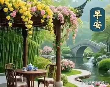 云鬓欢颜寂月皎皎图标