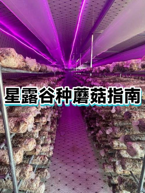 蘑菇农场的攻略图标