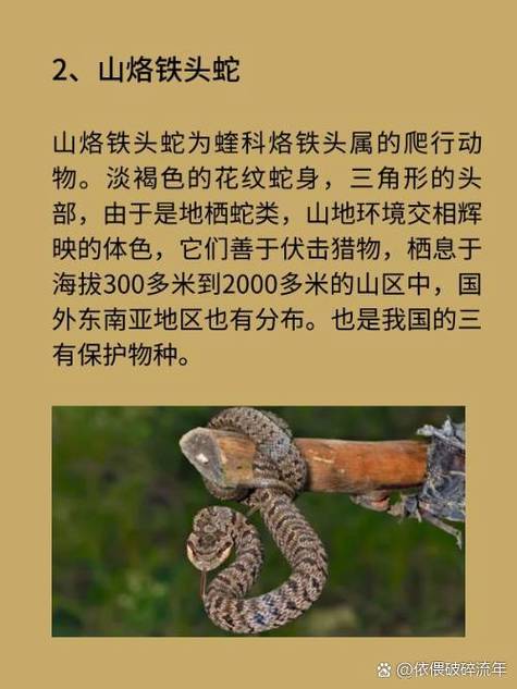 中国蛇患最严重的省份图标