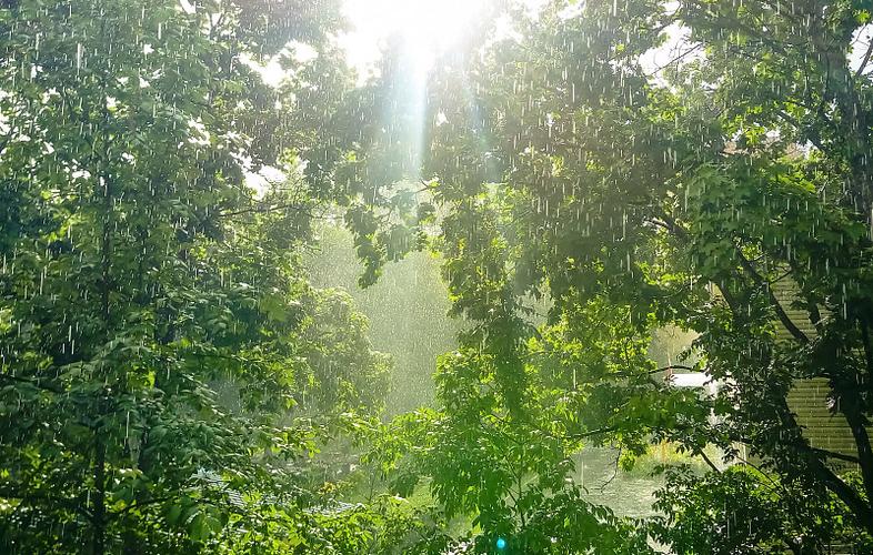 遇上太阳雨是幸运的