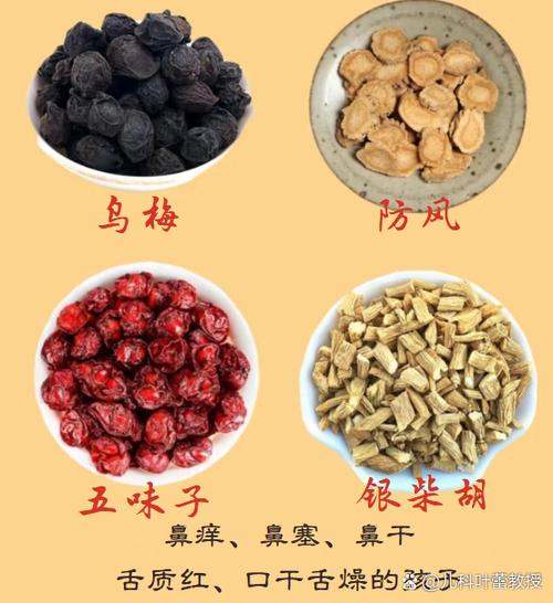 乌梅是青梅还是李子图标