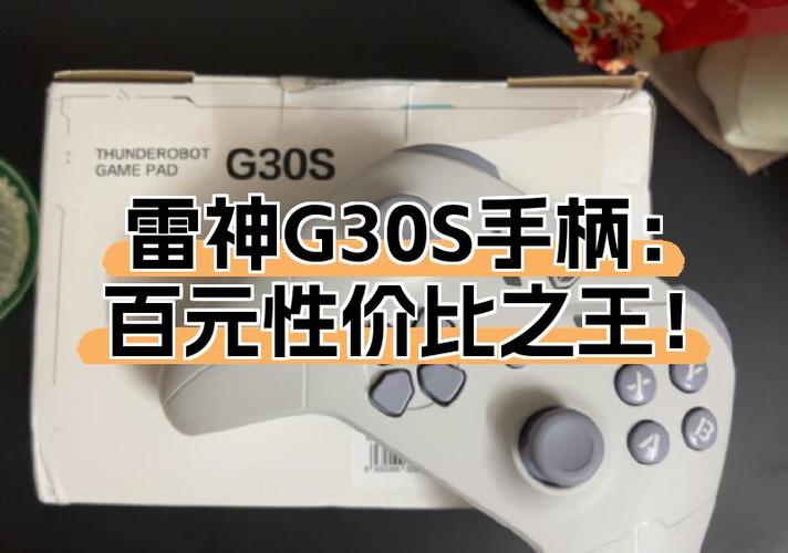 雷神手柄g30说明书截图