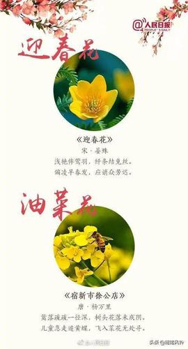 十首最美的花诗图标