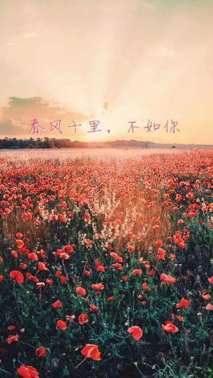 鹿先森乐队春风十里图标