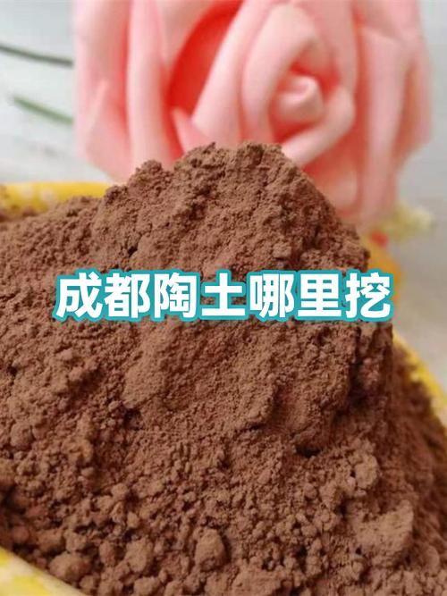 粘土哪里可以挖到截图