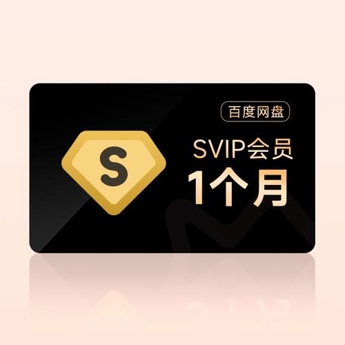 百度网盘会员刷永久图标