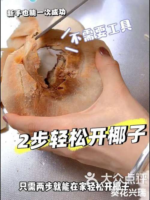 没有工具怎么开椰子图标