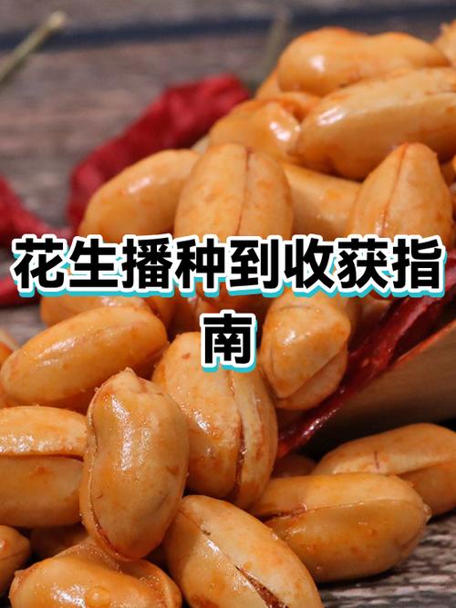 花生皮尽量少吃的原因图标