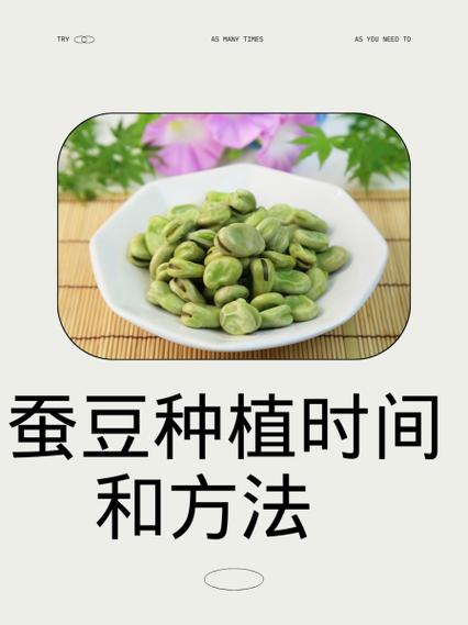 种蚕豆最简单的方法图标