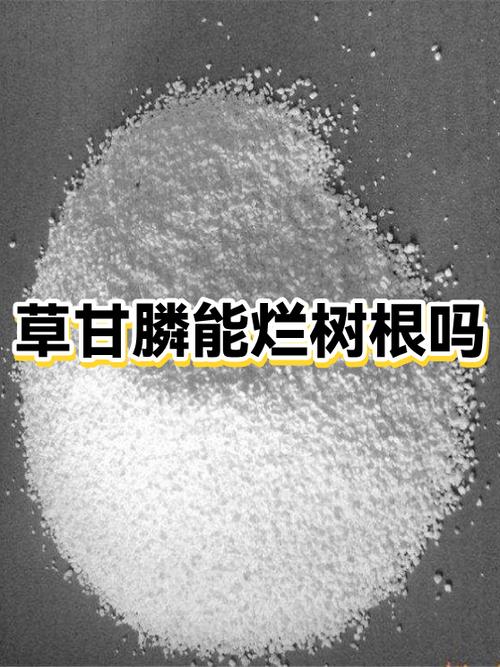什么药水能让树根腐烂图标