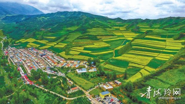 平安区三合镇截图