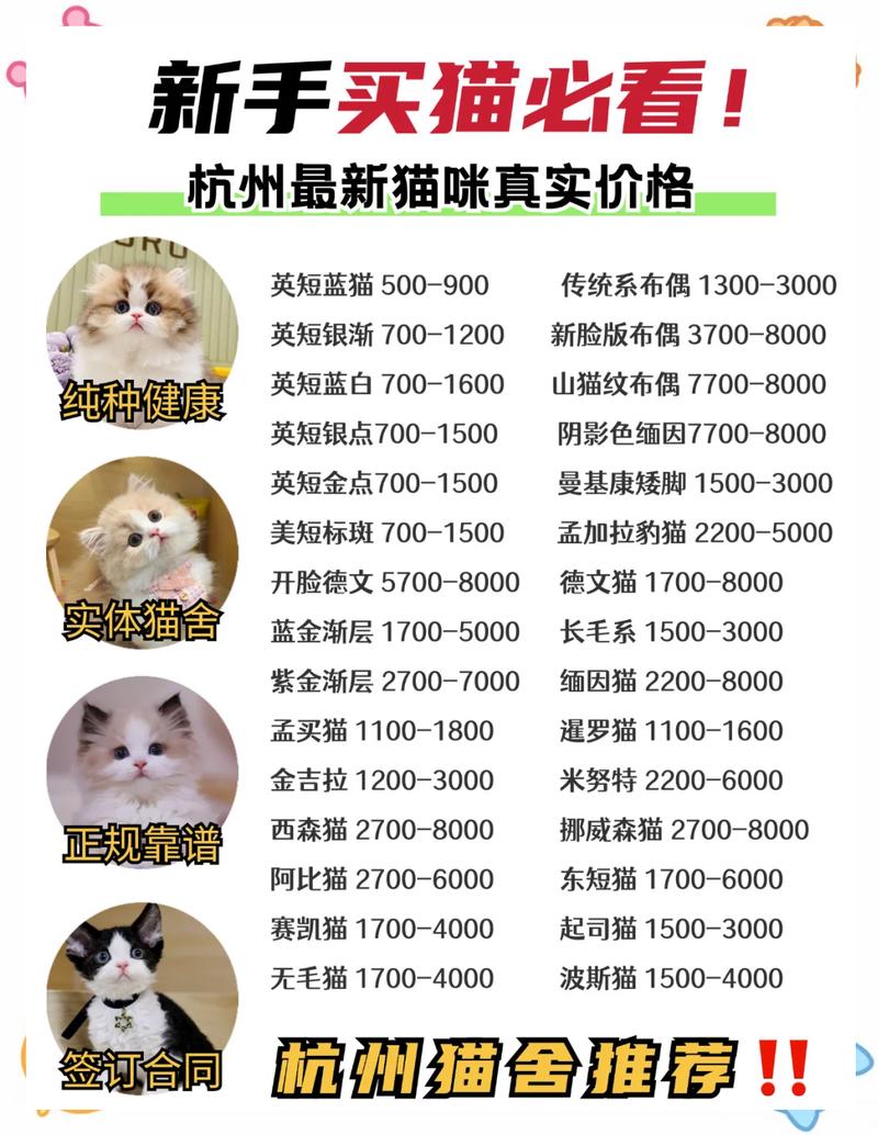 网上买猫哪个平台最好图标