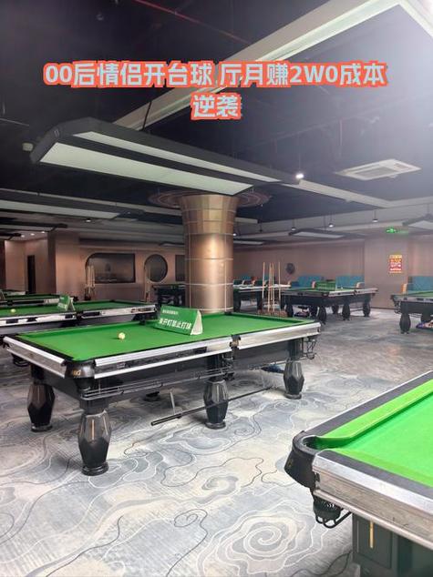 4张台球桌一年能挣多少钱截图