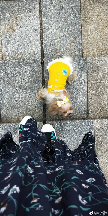 我店宠物来自外星 小说图标
