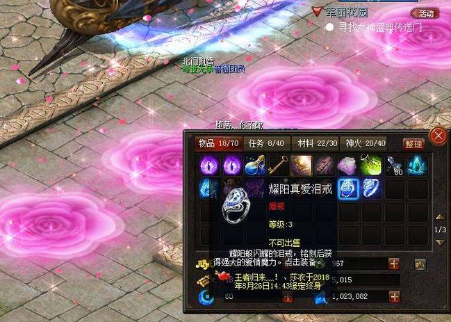 魔域物品栏放不进东西截图