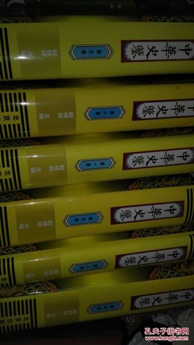 中国历史文献总库图标