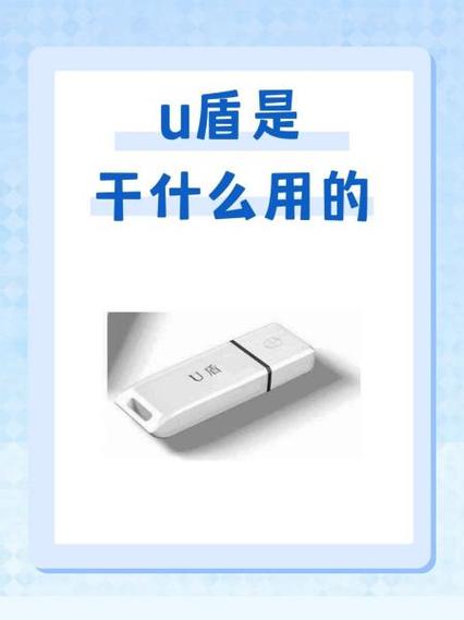 苹果转接头u盾不能用图标