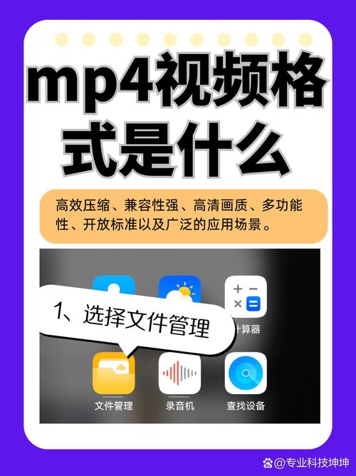 小明短视频app功能介绍