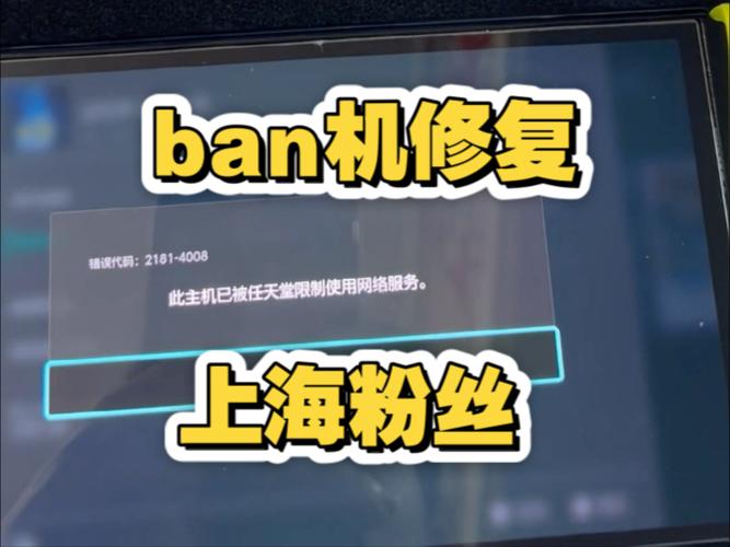 任天堂被ban机了能破解吗图标