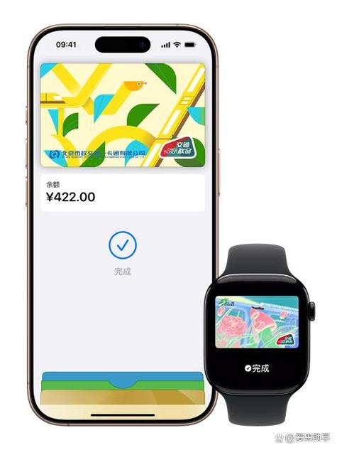 apple pay自动跳出来图标