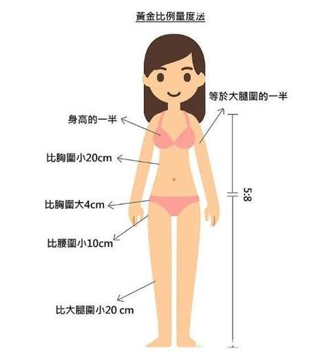 输入三围测体型图标