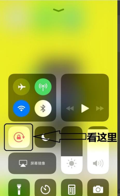 苹果重力感应设置图标