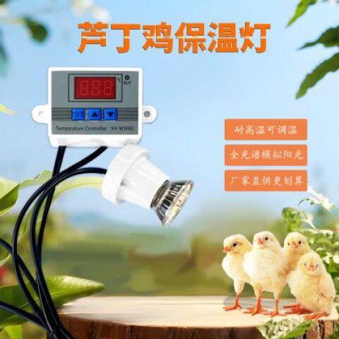 小鸡保温灯挂多高合适图标