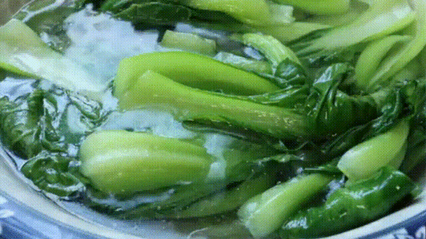 油菜养胃还是伤胃图标