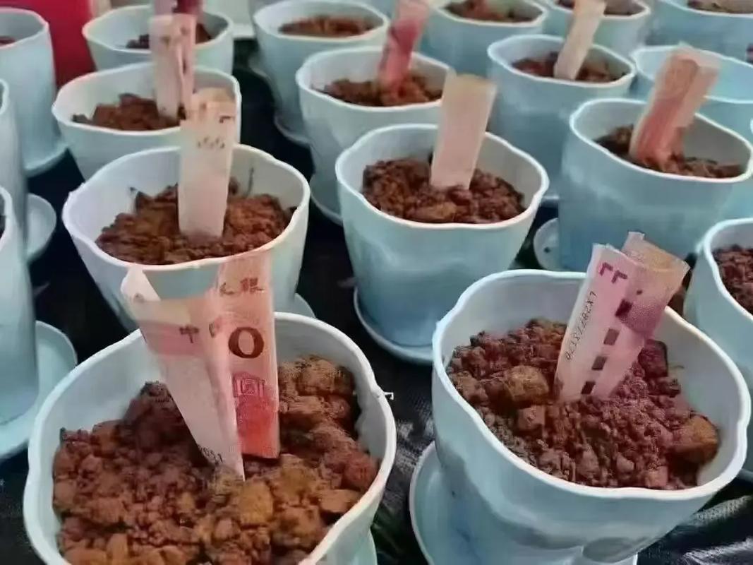 种田小能手红包版图标