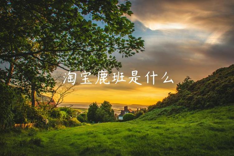 淘宝鹿班好用吗图标