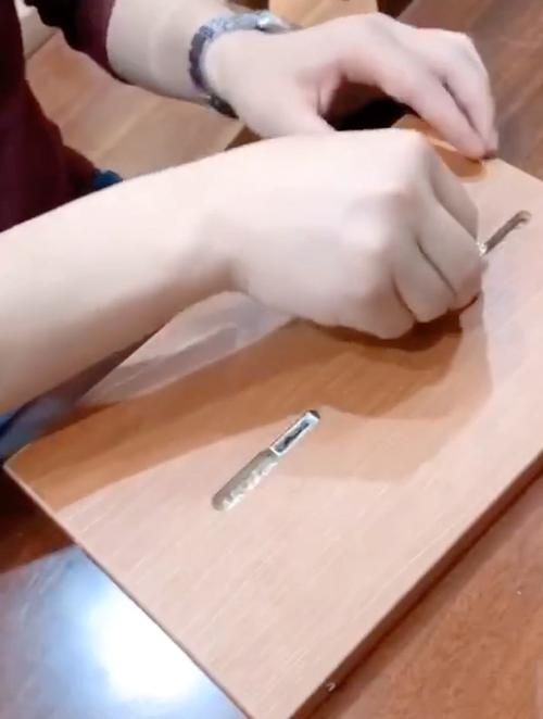 仓鼠app下载安装图标