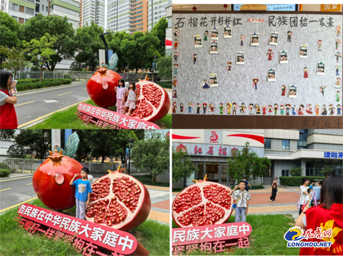 2021石榴籽一家亲直播截图