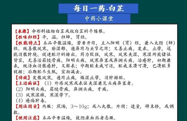 白芷的性味归经图标