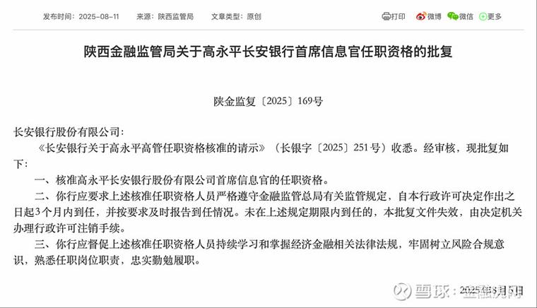 首席信息官职责图标